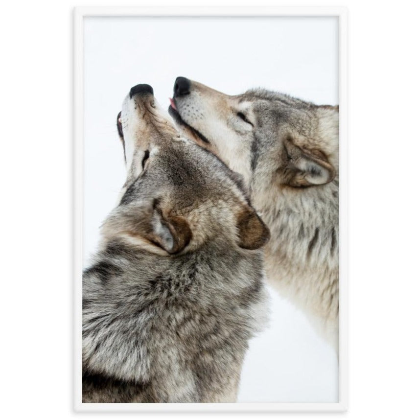 wall posters | snuggling wolves, murals | artlia – ARTLIA