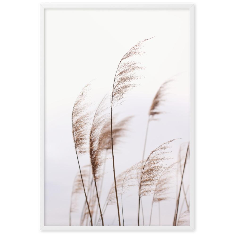 Reed poster | Buy Reeds Murals | artlia – ARTLIA